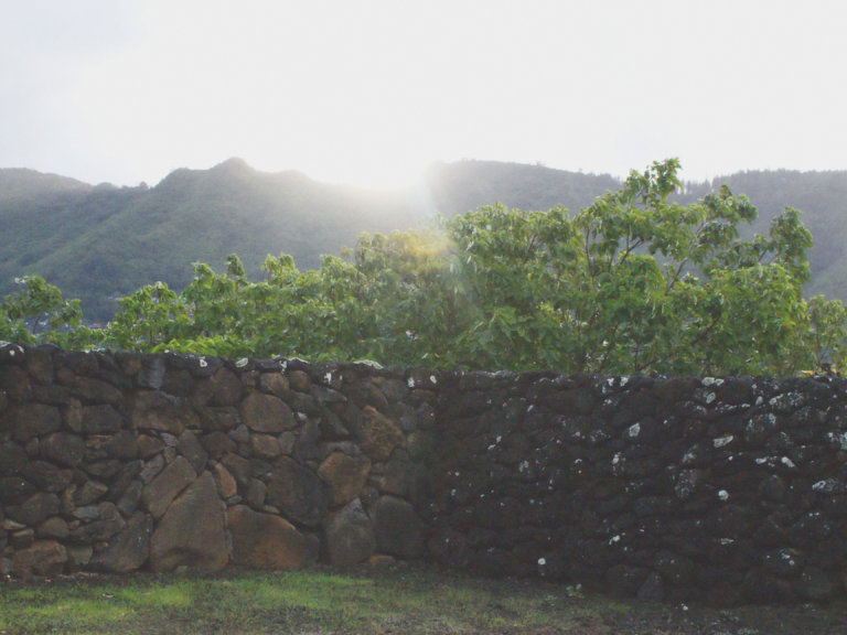 Kūkaʻōʻō Heiau • Manoa Heritage Center