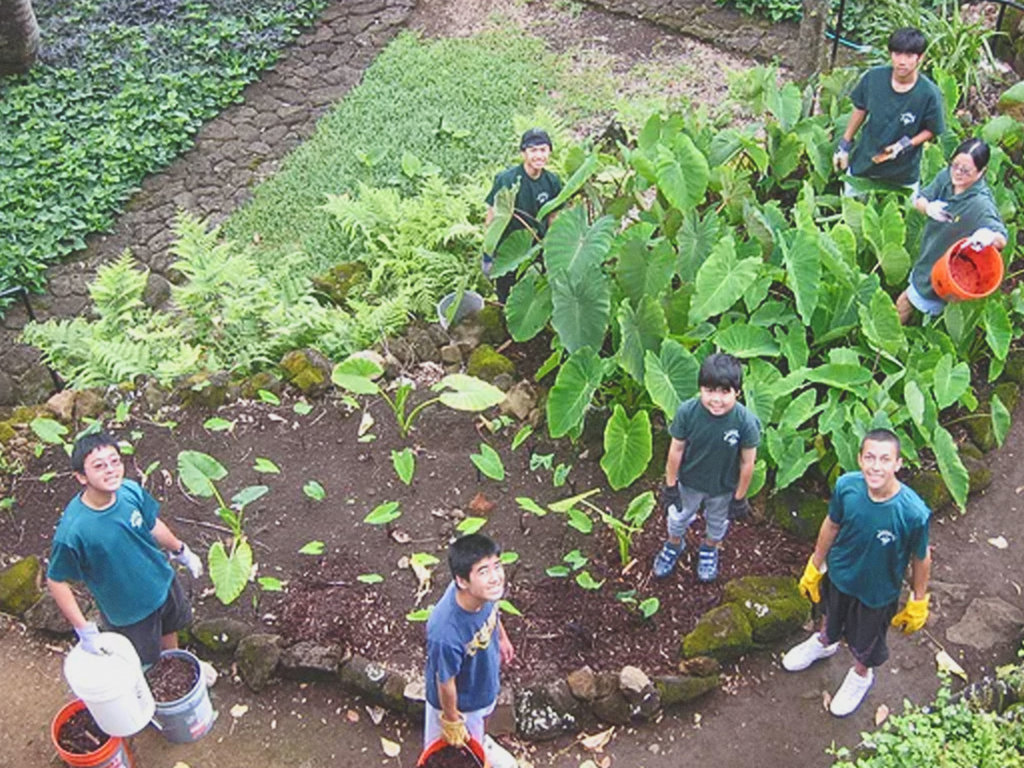 Volunteer • Manoa Heritage Center