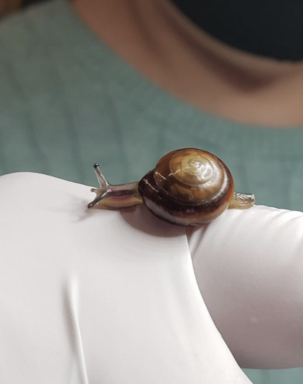 Home • Manoa Heritage Center